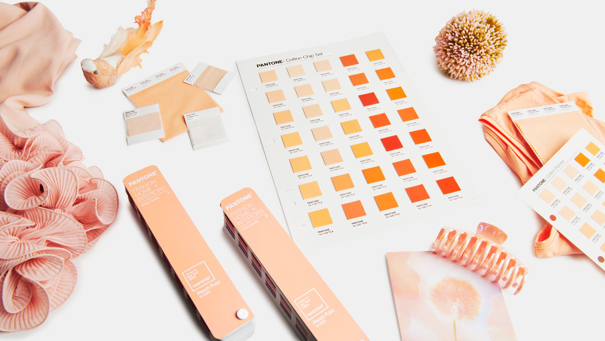 Pantone Names 2024 Color of the Year Here's How it Can Work for Toys